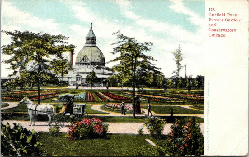 Vtg 1900s Garfield Park Flower Garden Conservatory Chicago Illinois IL ...