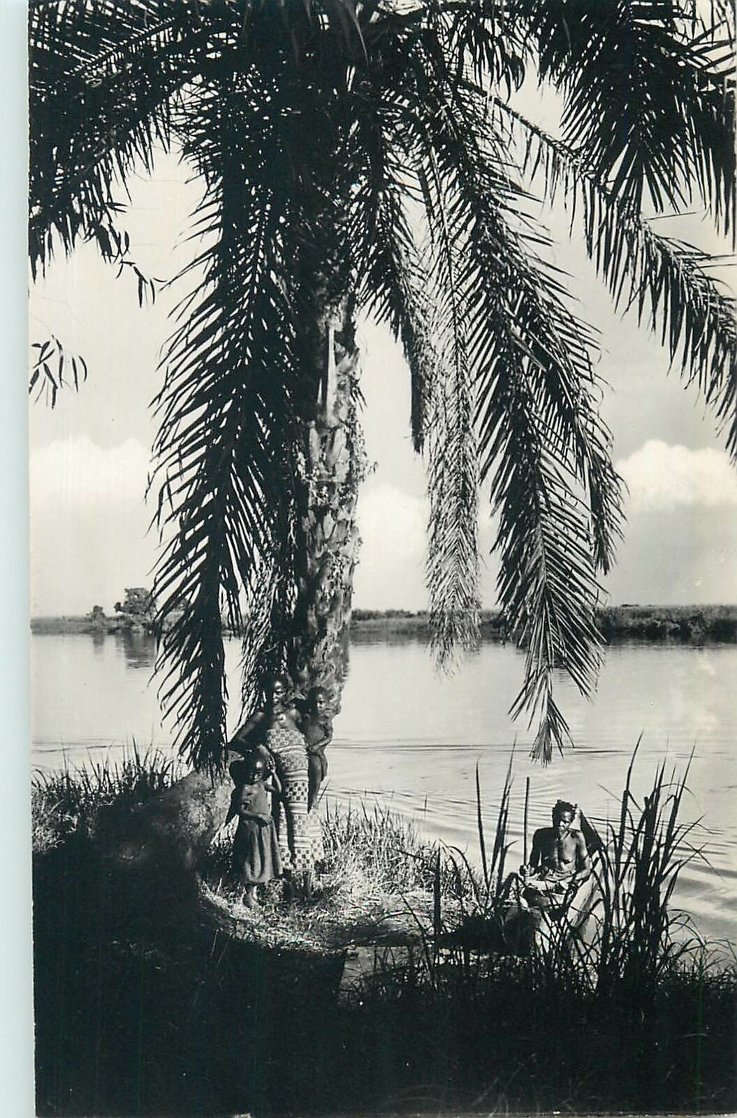Belgian Congo postcard vue sur de fleuve Congo ethnic types and scenes ...