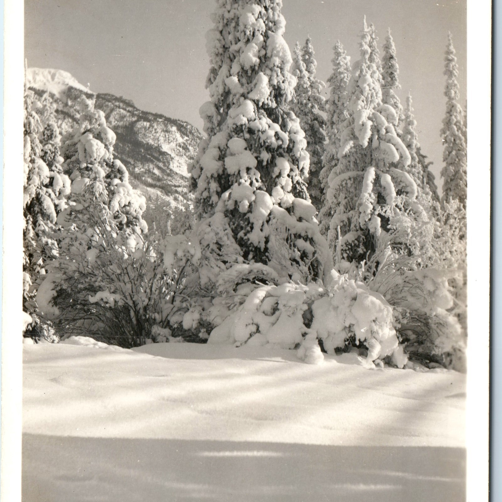 c1910s Red Pass, BC Winter Scene RPPC Railway Junction Photo Moose Lake ...