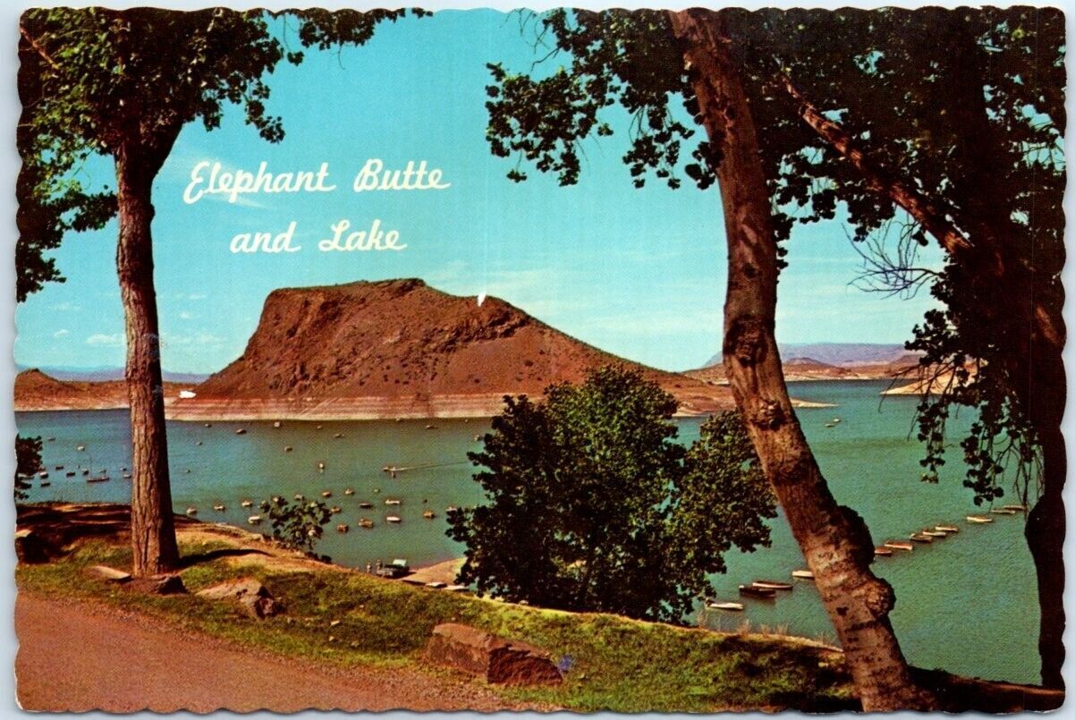 Postcard - Elephant Butte And Lake - Elephant Butte, New Mexico | Latin ...
