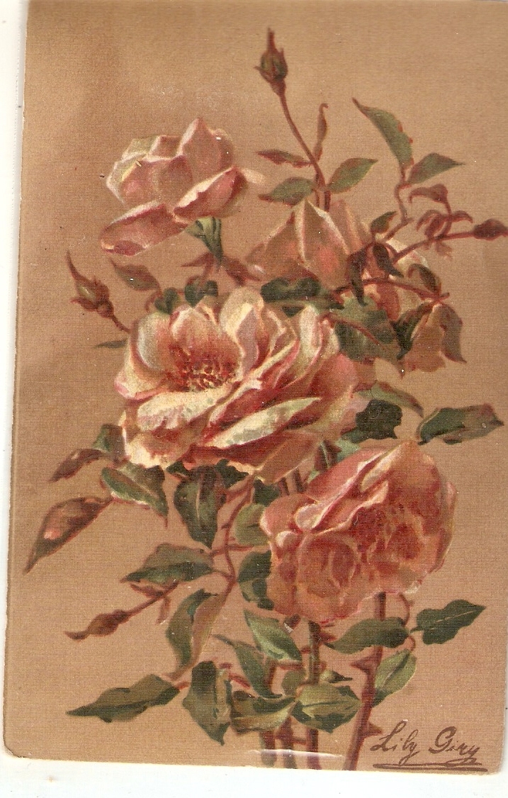 "Safrano. Rose de Nice" Nice old vintage French postcard | Topics ...