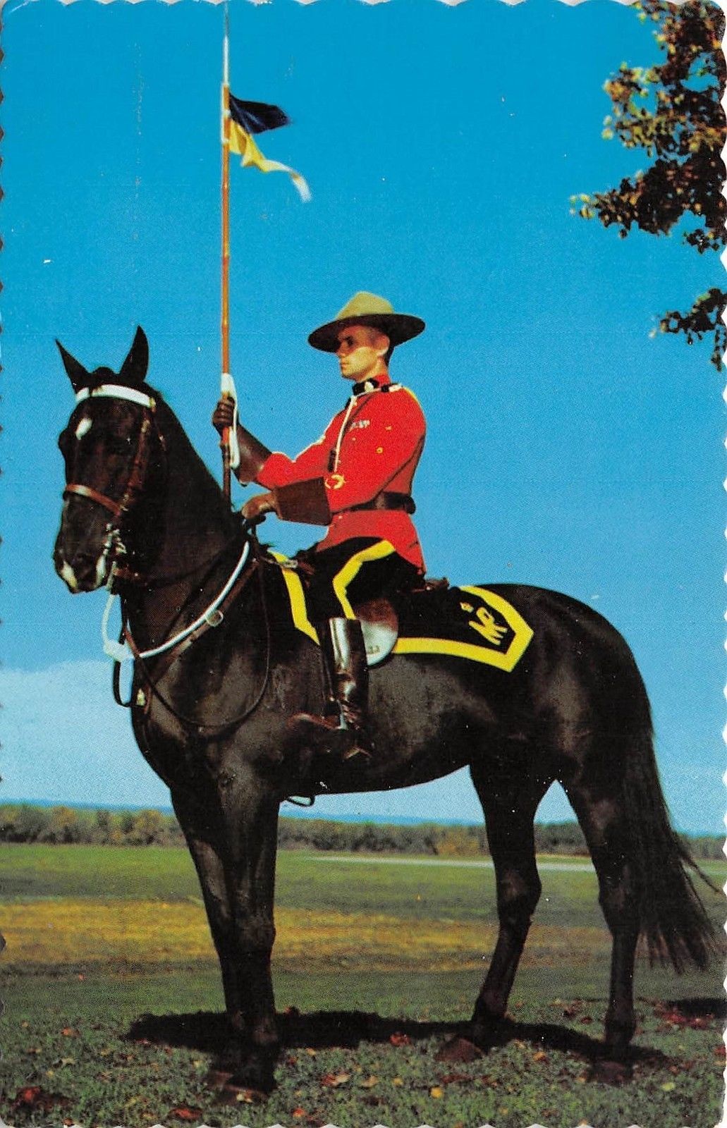 BR6470 the royal canadien mounted police types military canada | Canada ...