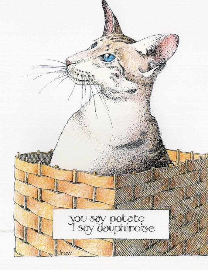 You Say Potato I Say Douphinoise Cat Comic Postcard | Topics - Cartoons ...