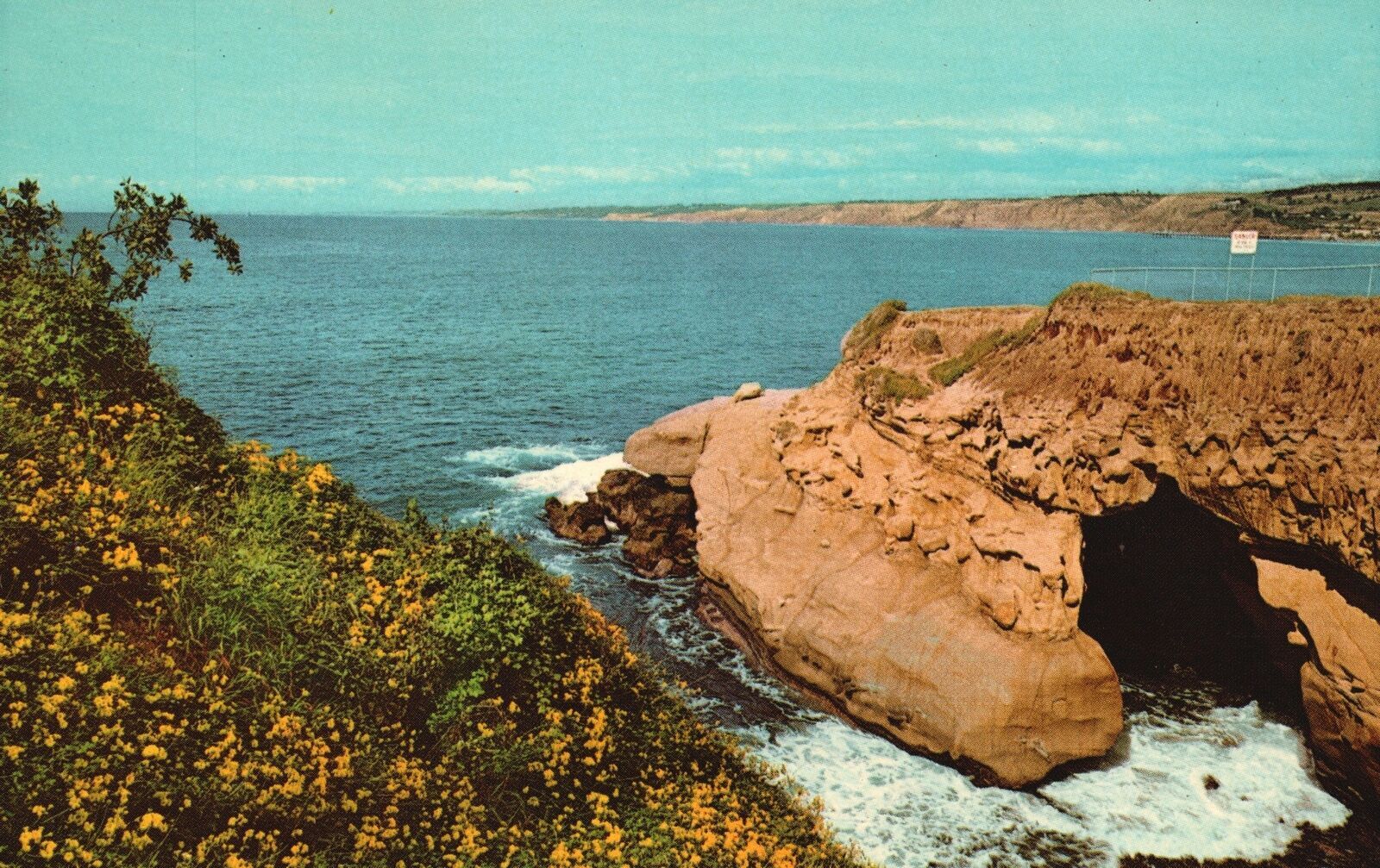 Vintage Postcard Garabaldi Perch Goldfish Point La Jolla Cove ...