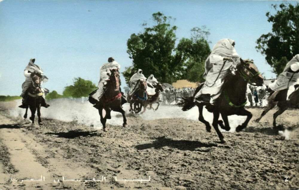 libya, Native Arab Cavalry, Horses (1960s) | Africa - Libya, Postcard ...