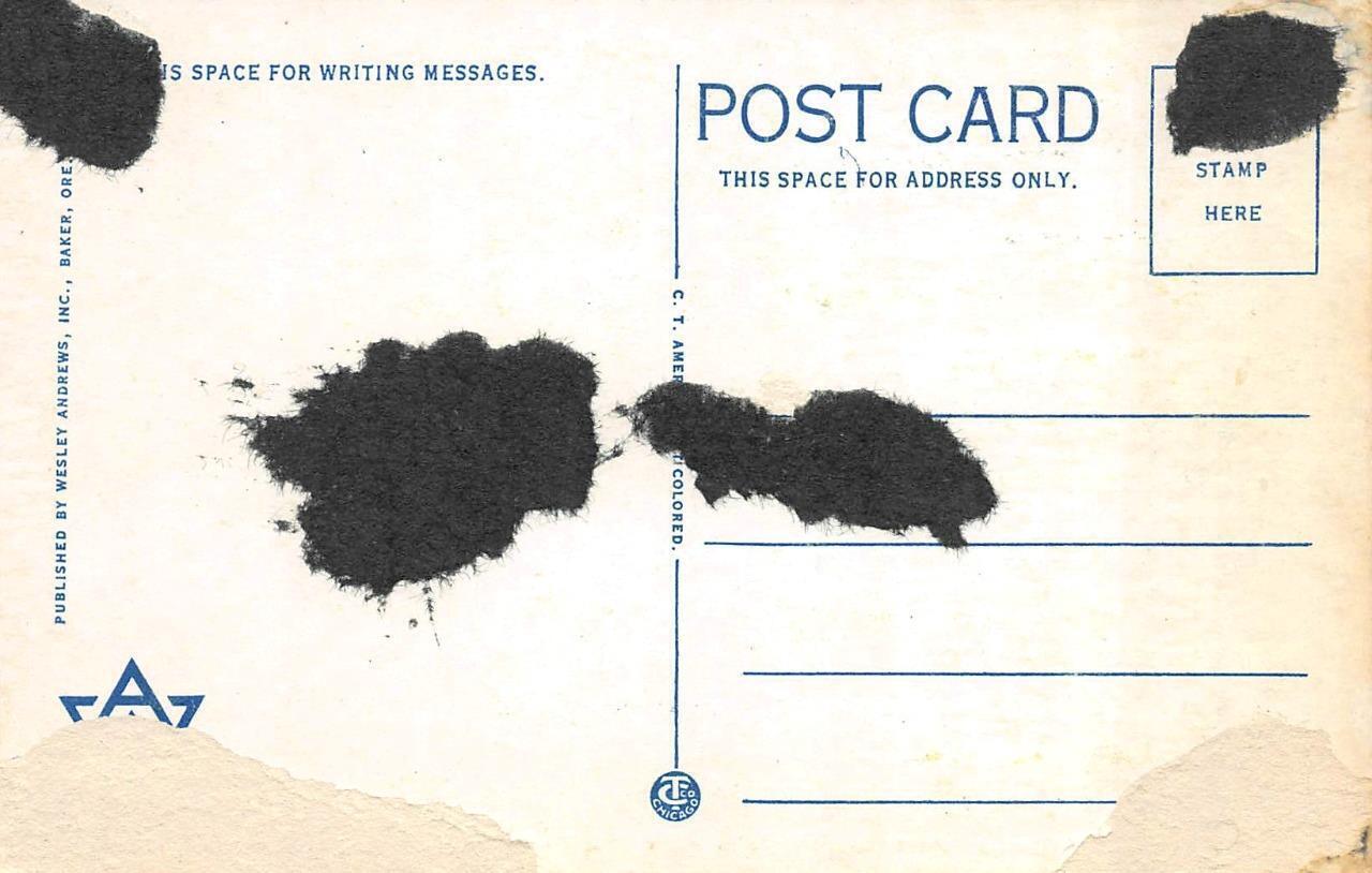 ID Idaho PERRINE RANCH & BLUE LAKES~Snake River BIRD'S EYE VIEW ca1920s ...