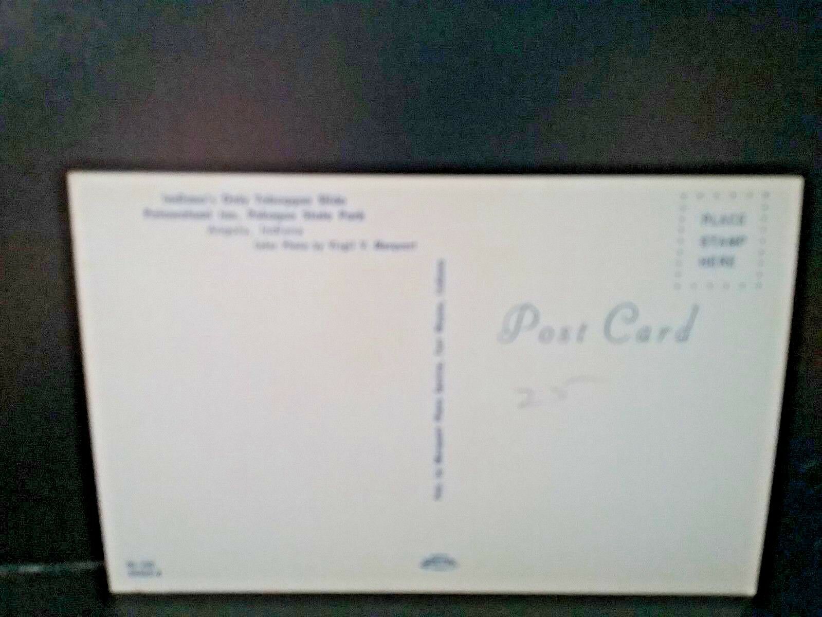 Postcard Toboggan Slide in Pokagon State Park in Angola, IN | United ...