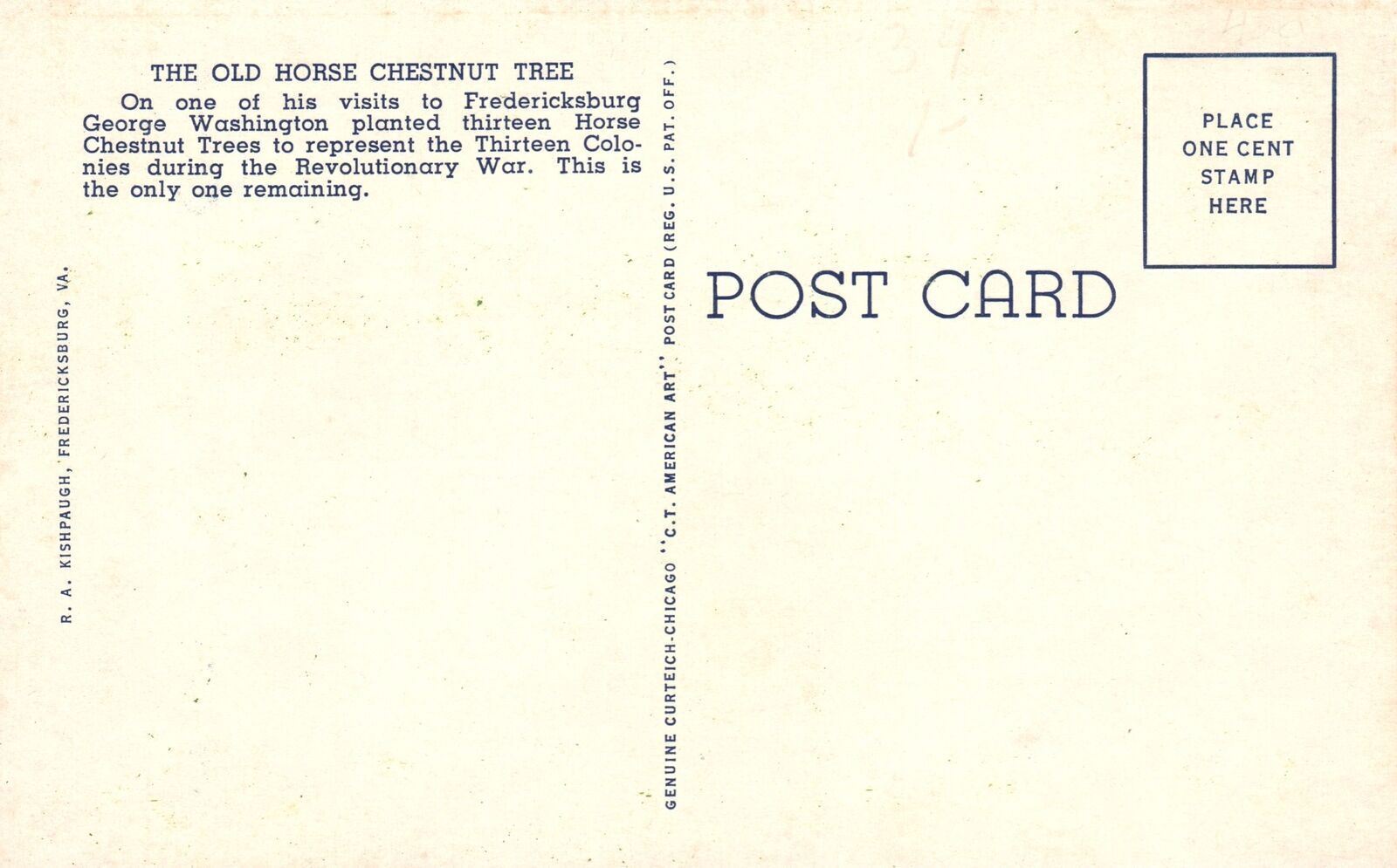 Vintage Postcard Old Horse Chestnut Tree Thirteen Horse Fredericksburg ...