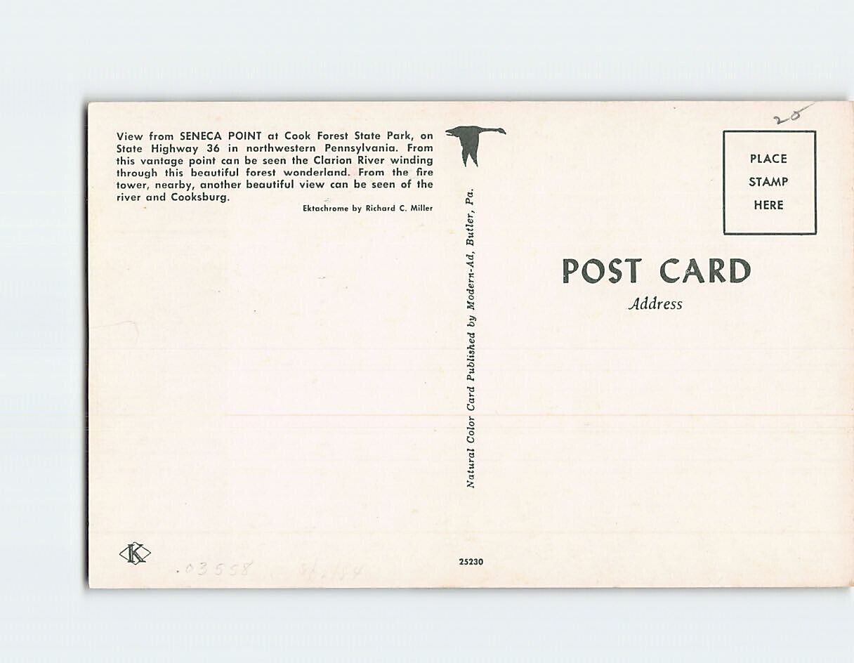 Postcard View from Seneca Point at Cook Forest State Park Pennsylvania ...