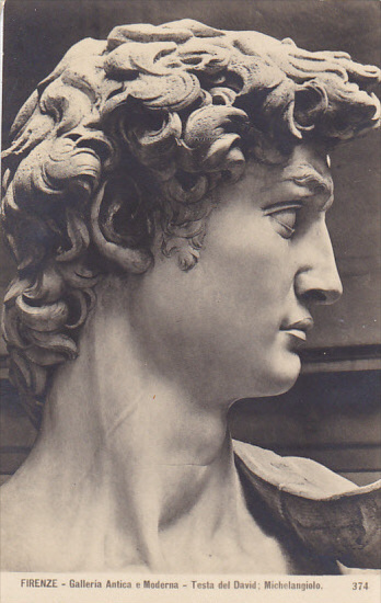 Testa Del David Michelangiolo Galleria Antica e Moderno Firenze Italy ...