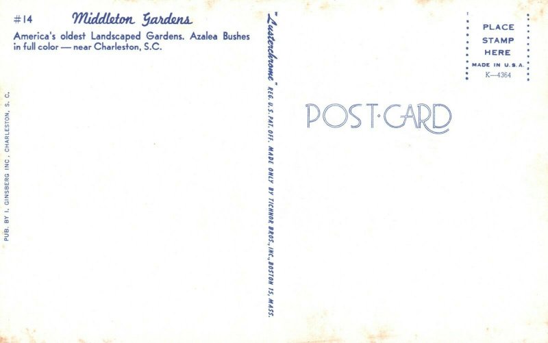 Vintage Postcard Middleton Gardens America Oldest Landscaped Gardens ...