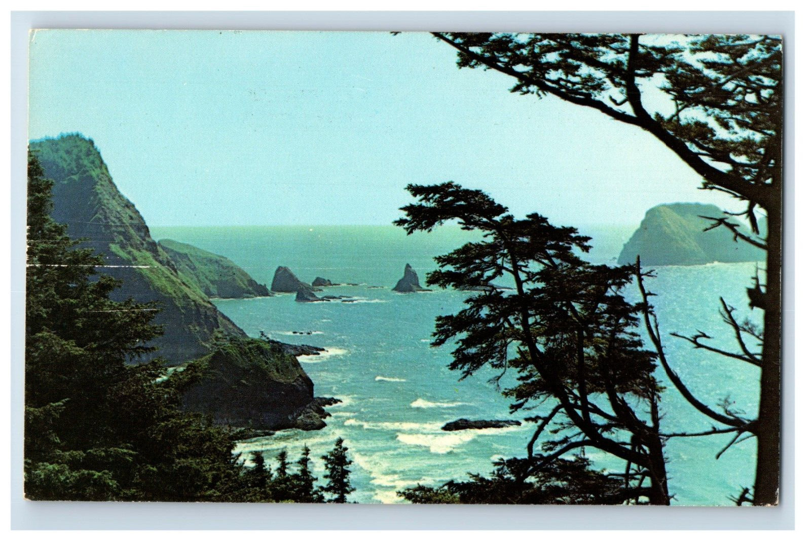 Vintage Oregon Coast Near Cape Mears Postcard P114E | United States ...
