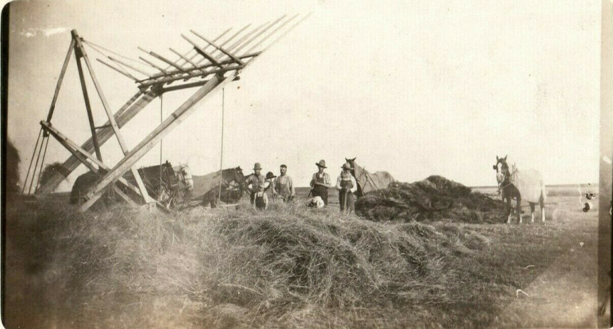 1915 Aberdeen South Dakota SD Hay Stacker Farmers Equipment RPPC Photo ...