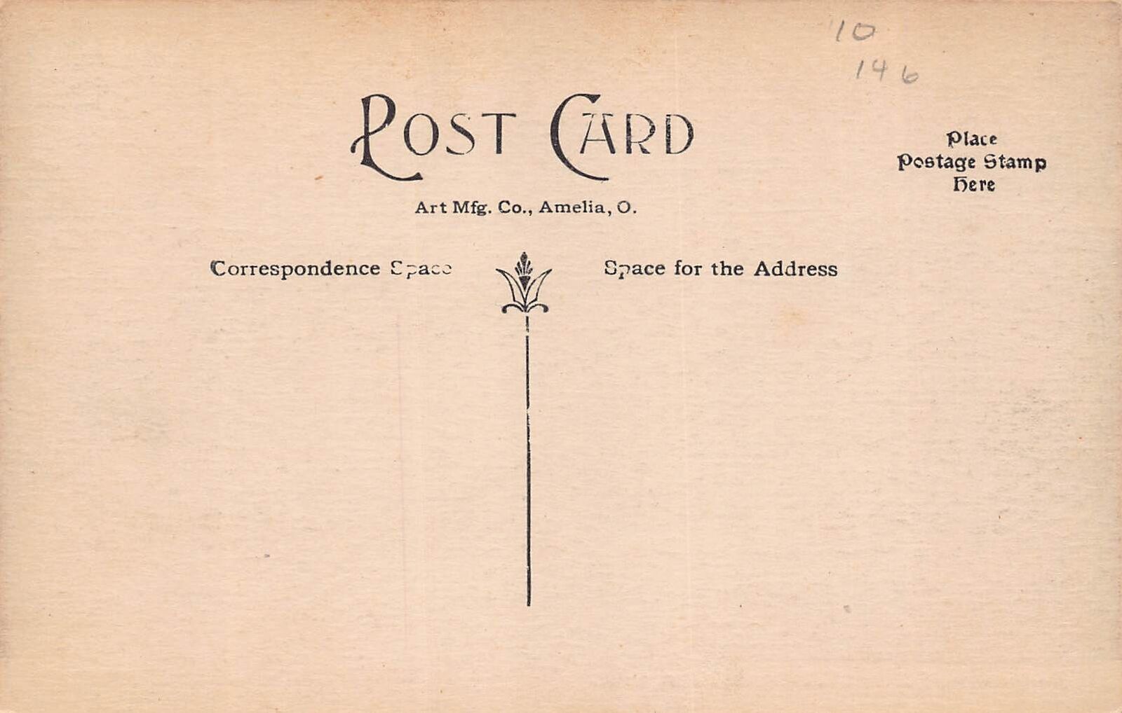 J80/ Lyndon Ohio Postcard c1910 Auditorium Farmer's Picnic Crowd 370 ...