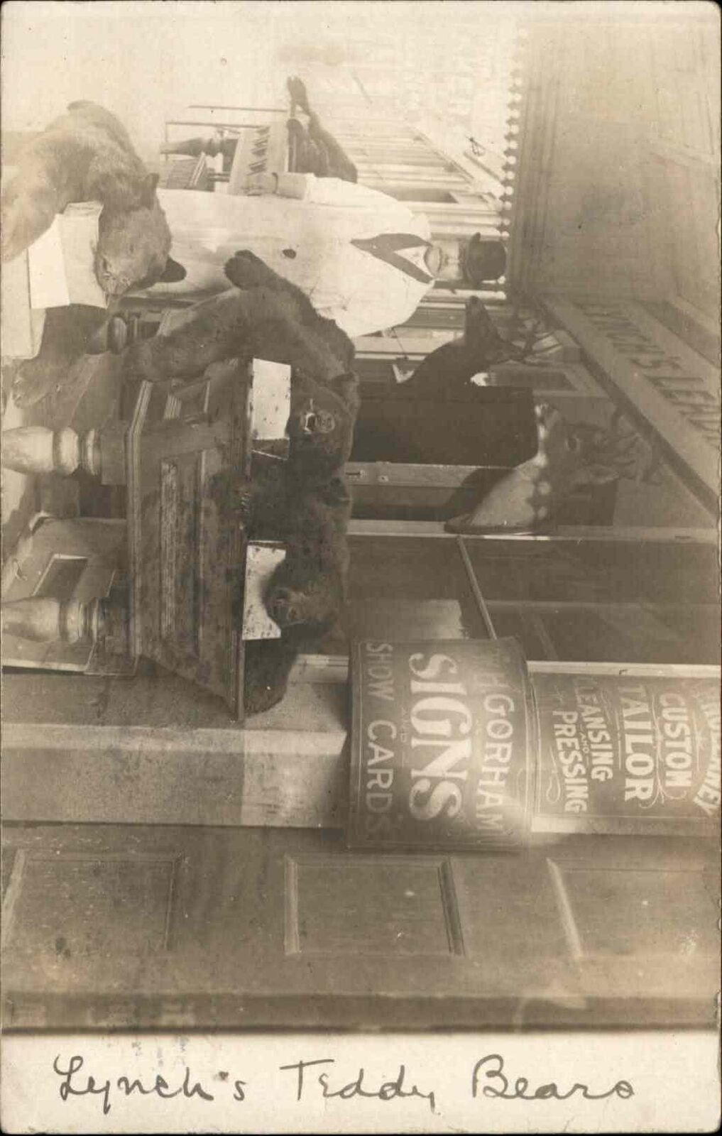 Bangor Maine ME Dead Bears Taxidermy Lynch's Teddy Bears Storefront ...