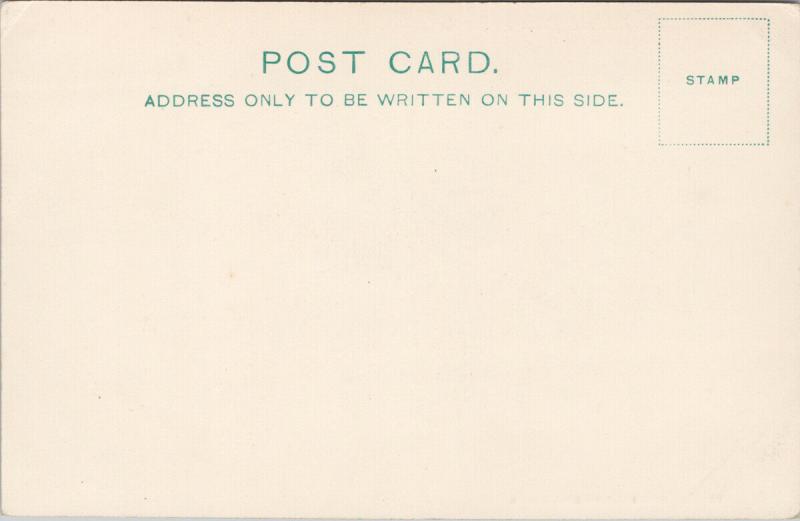 Zululand Police on Parade South Africa Post Unused Sallo Epstein ...