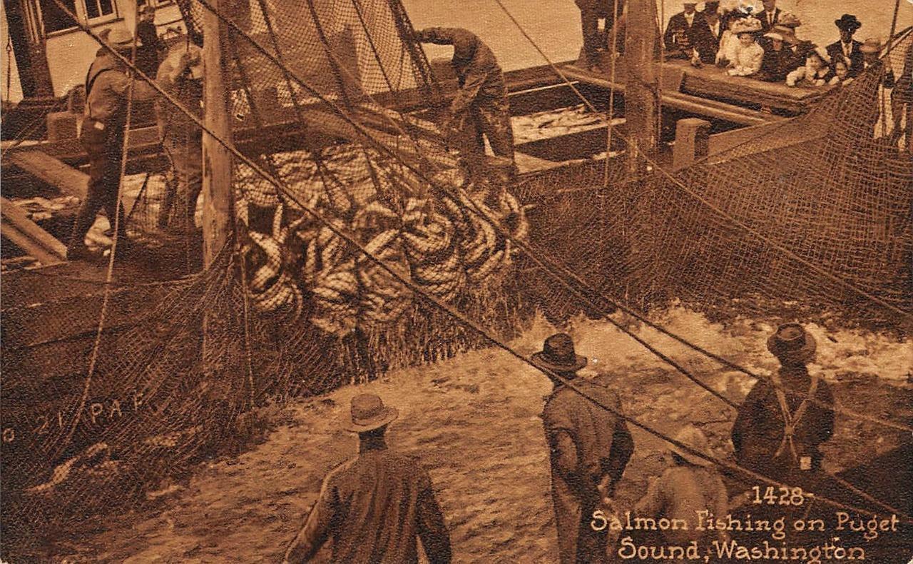 Salmon Fishing on Puget Sound, Washington 1910s Mitchell Vintage ...