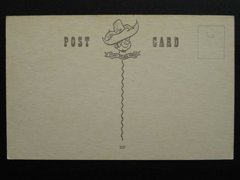 Comic Humour BAREBUMMS NATURIST HOTEL ! c1960/70s Pedro Postcard ...