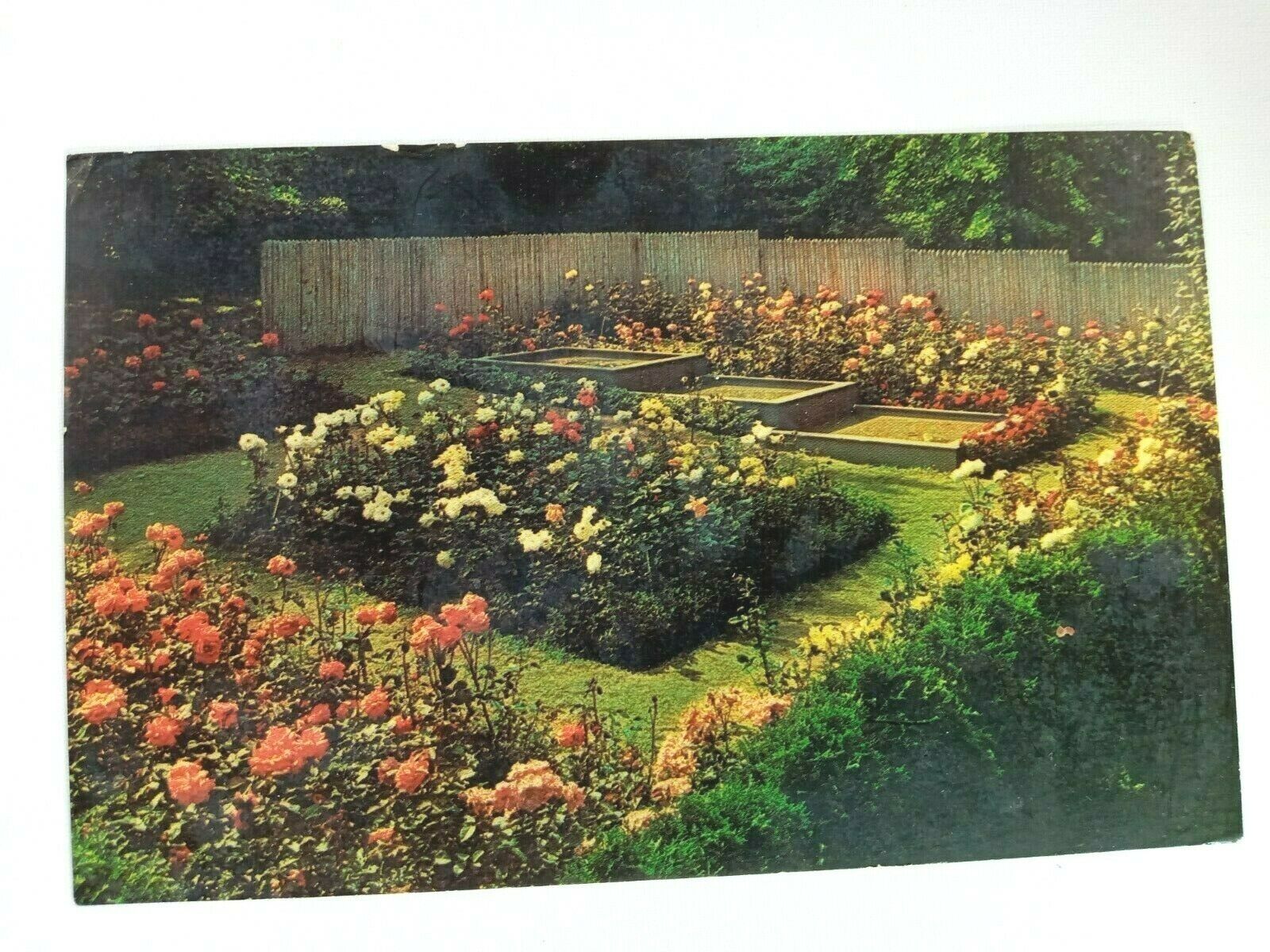 Vintage Postcard 1964 Rose Garden of the Year Newark NJ Floral Garden ...