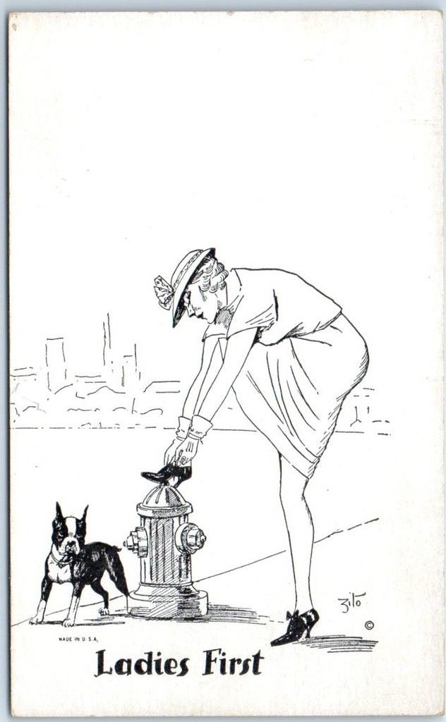 Comic Postcard "Ladies First" Boston Terrier Dog Fire Hydrant Artist ...