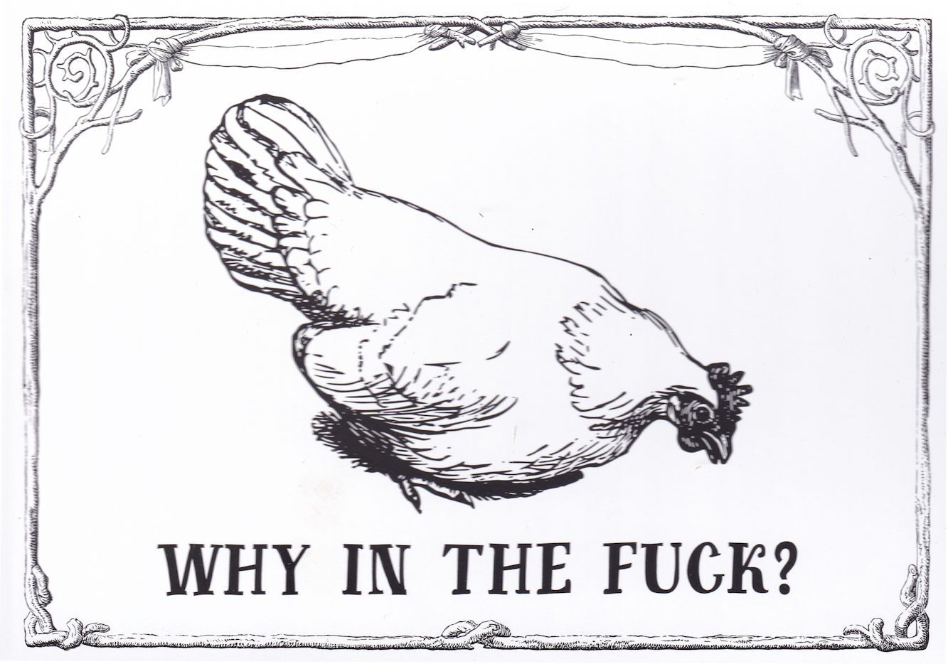 Farm Snoopy Hen Swearing Comic Bird Angry Birds Humour Postcard ...