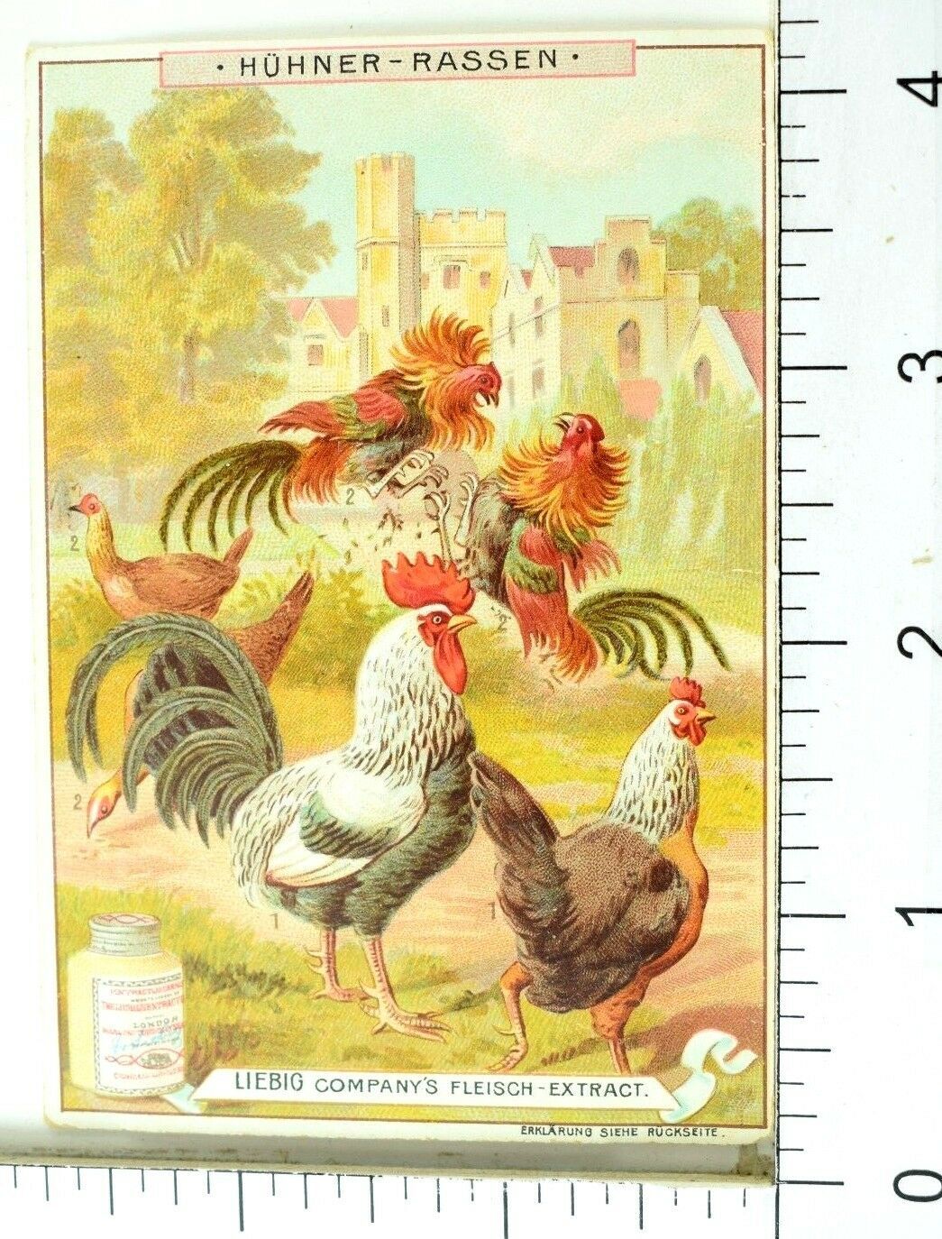 1880's Varieties of Chickens Lovely Scenes Liebig Victorian 6 Trade ...