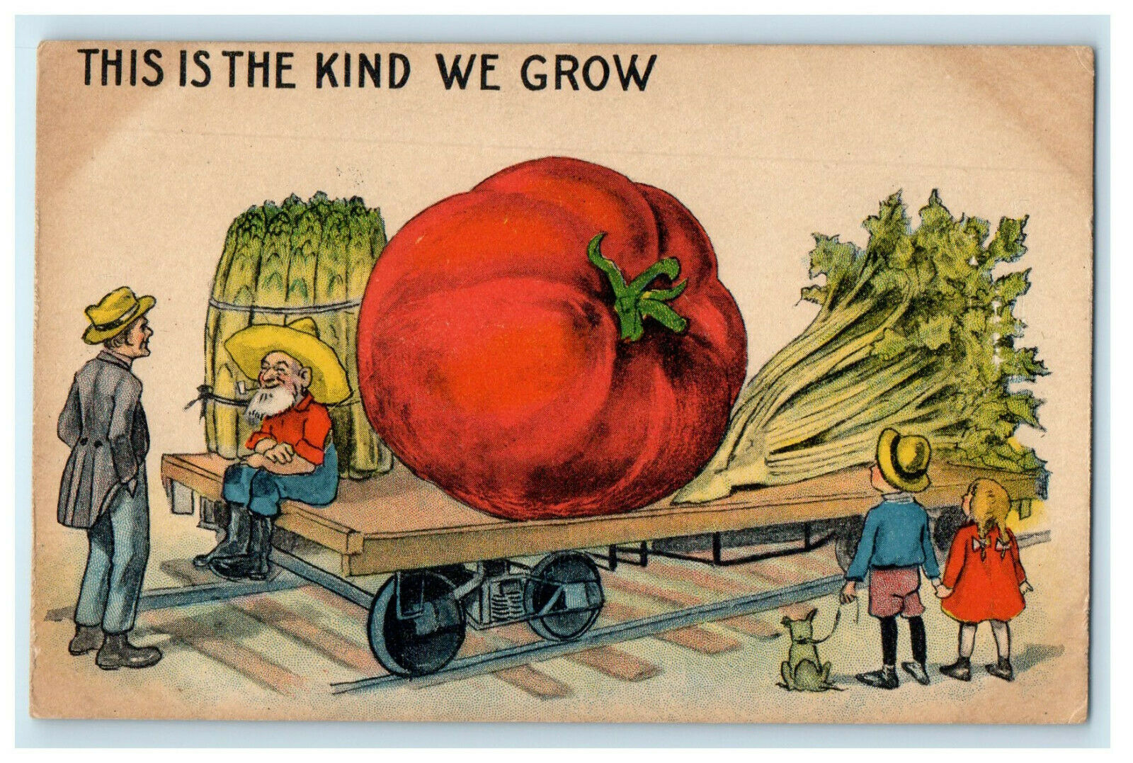 c1910s Giant Tomato and Vegetables This Is The Kind We Grow Exaggerated ...
