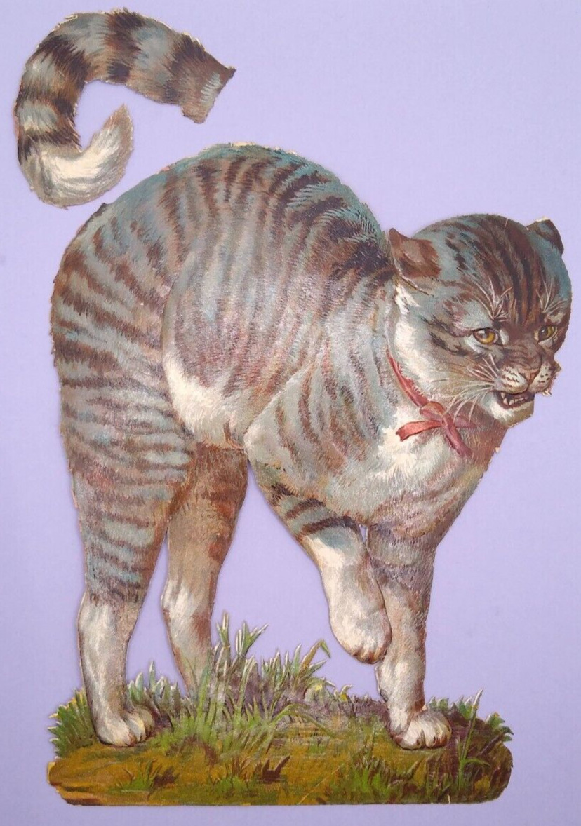 1880's-90's Large Grey Angry Tabby Cat Die Cut Victorian Scrap ...