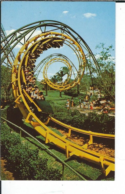 AY-284 The Python Roller Coaster, Busch Gardens Tampa, FL Modern Chrome ...