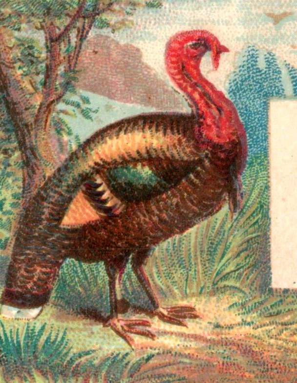 1880s Henry Seipp Ice-Cream Saloon Confectionery Candy Lot Of 2 F5 ...