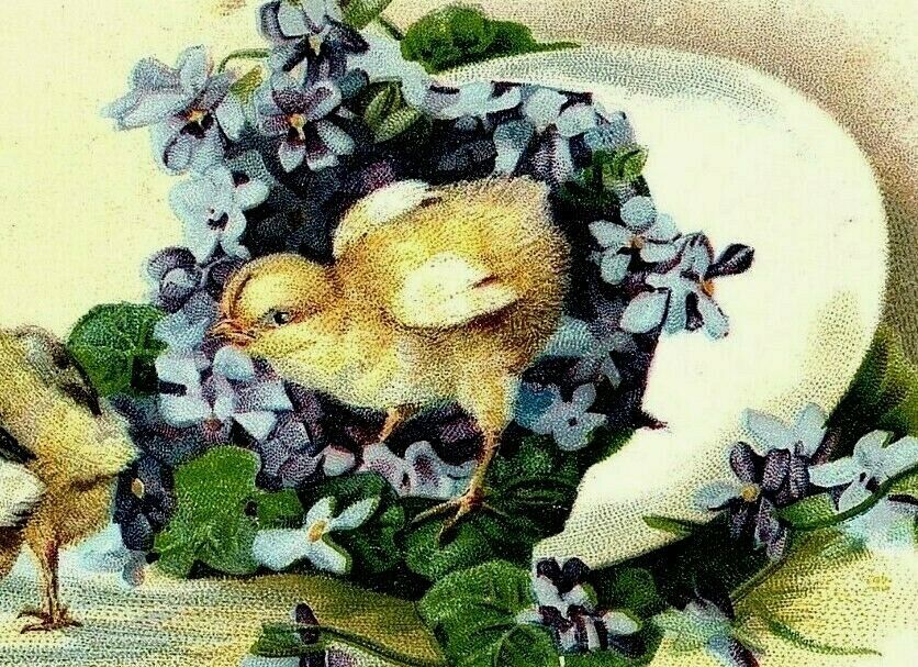 1880's-90's Victorian Easter Card Baby Chicks Hatching Egg Adorable! 7E ...