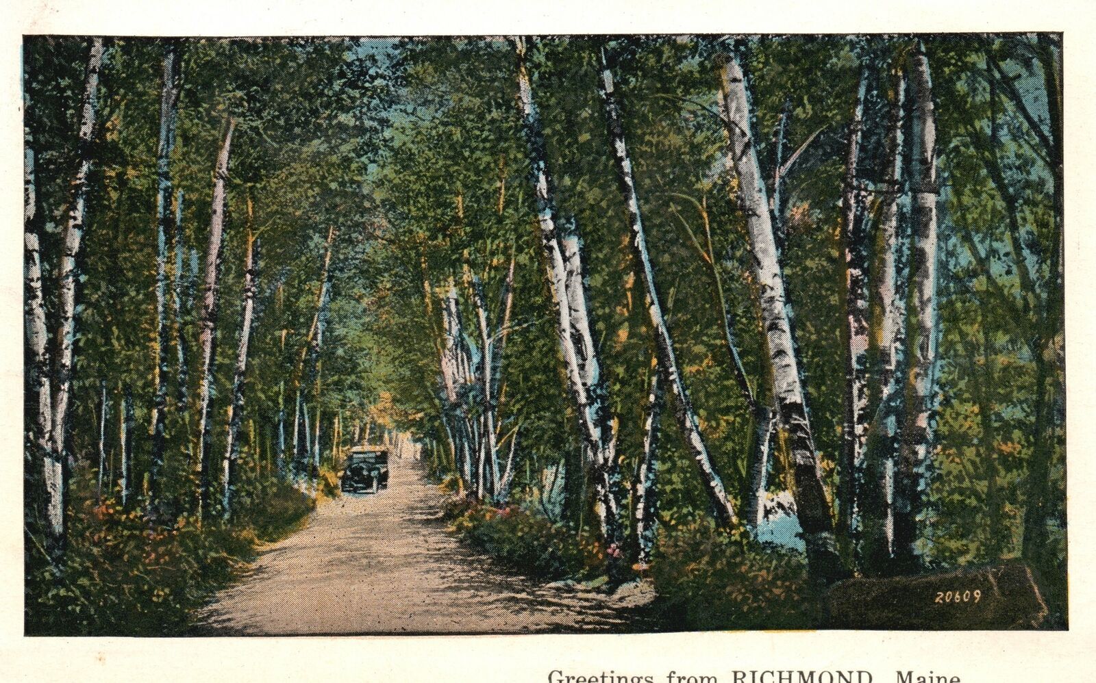 1931 Greetings From Richmond Maine ME Driveway Along The Forest Vintage ...