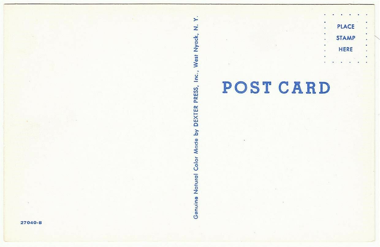 Beatnik Diploma Bongo Drums Comic Certificate Postcard 1950s | Topics ...