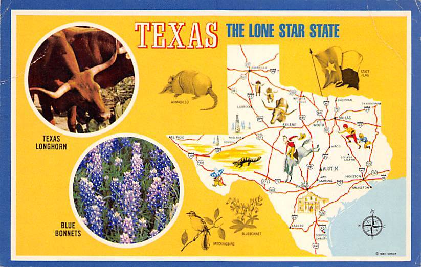 State Flower Of Texas The Lone Star State - Map, Texas TX | Topics ...