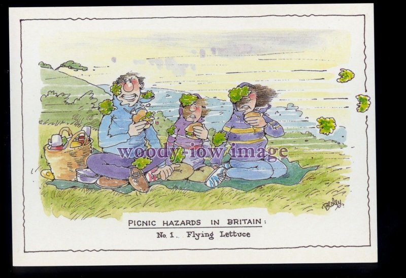 BES127 - Picnic Hazards in Britain No.1 Flying Lettuce comic postcard ...