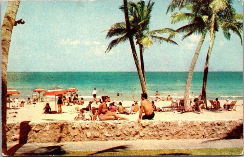 Florida Miami Beach Sun & Surf Bathing At Surfside 71st Street and The ...
