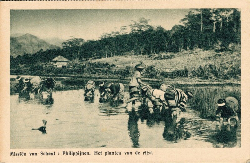 Philippines - Missions de Scheut Philippines Het planten van de rijst ...