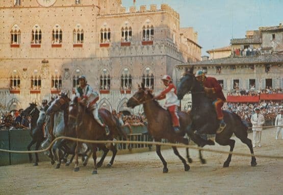 Siena Rodeo Start Of Horse Race Italian Racing Starters Orders Postcard ...