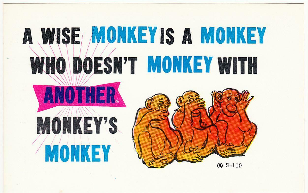 Wise Monkey Doesn't Monkey See No Evil Comic Postcard by Clown-o-Gram ...