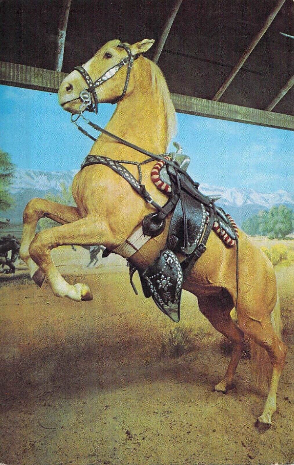 Trigger, Roy Rogers and Dale Evans Museum, Victorville, CA,Old Postcard ... Trigger, Roy Rogers and Dale Evans Museum, Victorville, CA,Old Postcard ...