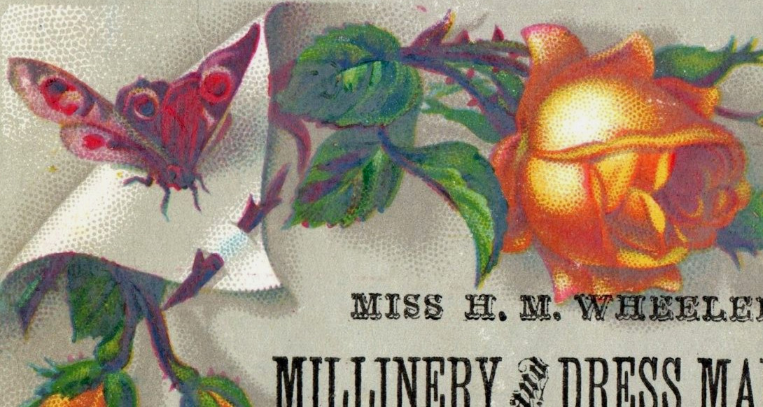 1880s Miss. H.M. Wheeler Millinery Insects Water Lily Lot Of 5 Fab ...