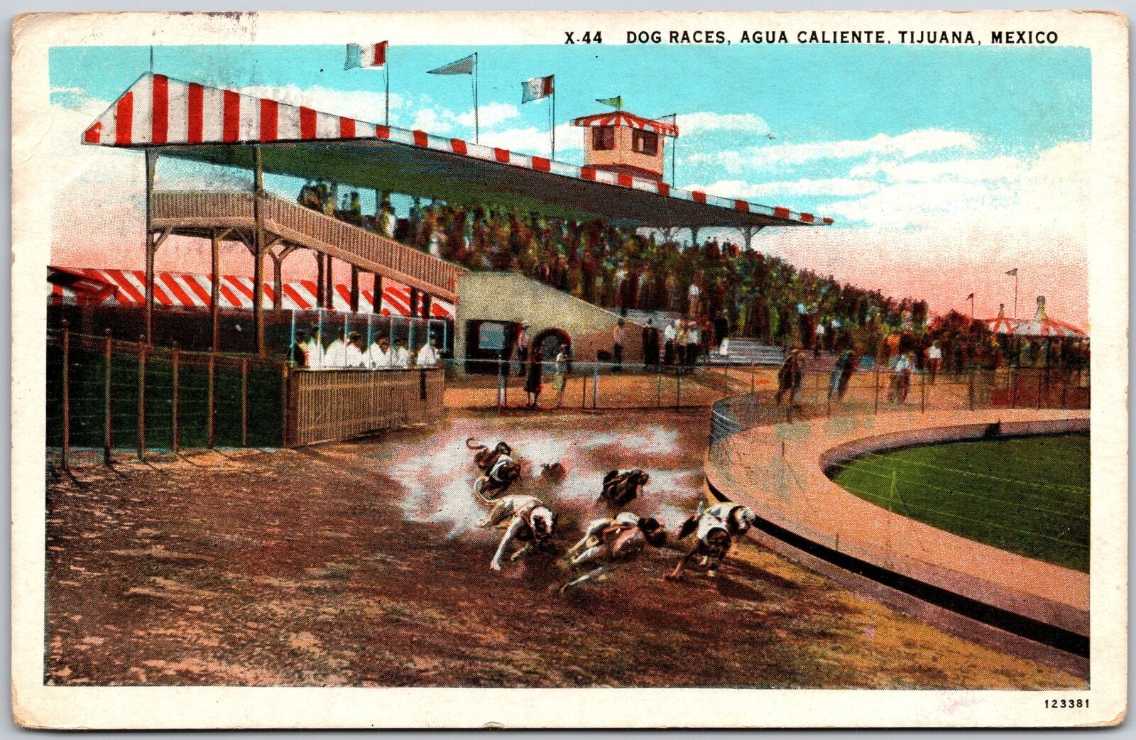 1920's Dog Races Agua Caliente Tijuana Mexico Racing Posted Postcard ...
