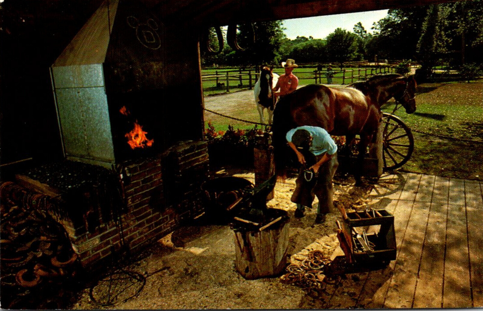 Florida Orlando Walt Disney World Fort Wilderness Tri-Circle-D ...