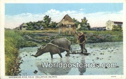 Harrowing Rice Field Philippine Islands Philippines Unused | Asia ...