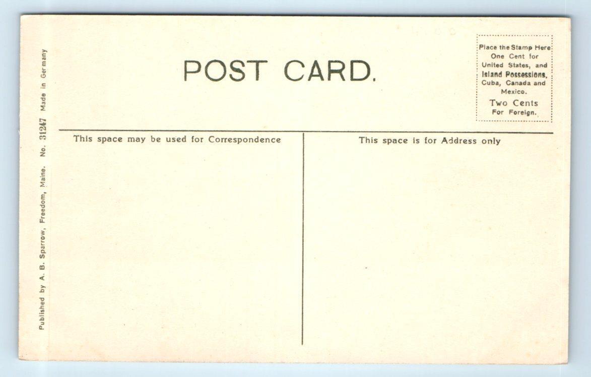 FREEDOM, Maine ME ~ Sandy Stream MAIN STREET Scene c1910s Waldo County ...