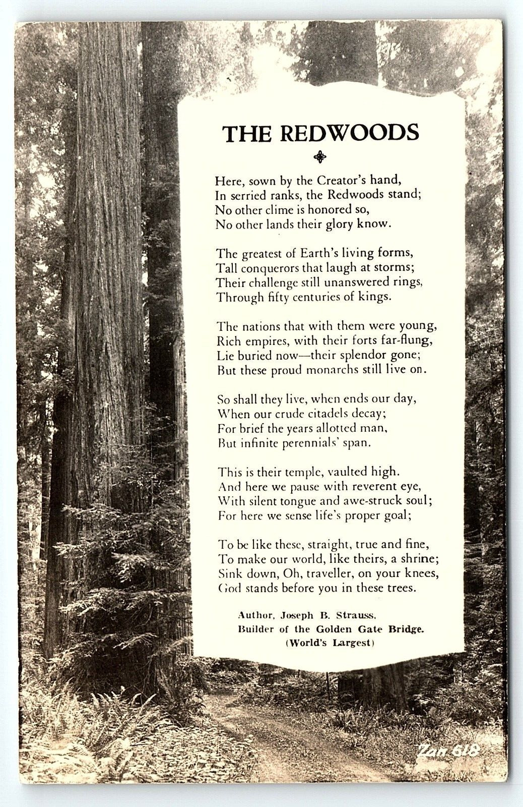 1930s the Redwoods Poem Joseph B Strauss California Rppc Postcard P1185 ...