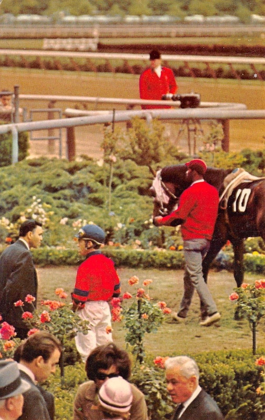 Aqueduct The Big A Long Island Racetrack 1960s Postcard Paddock Horse ...