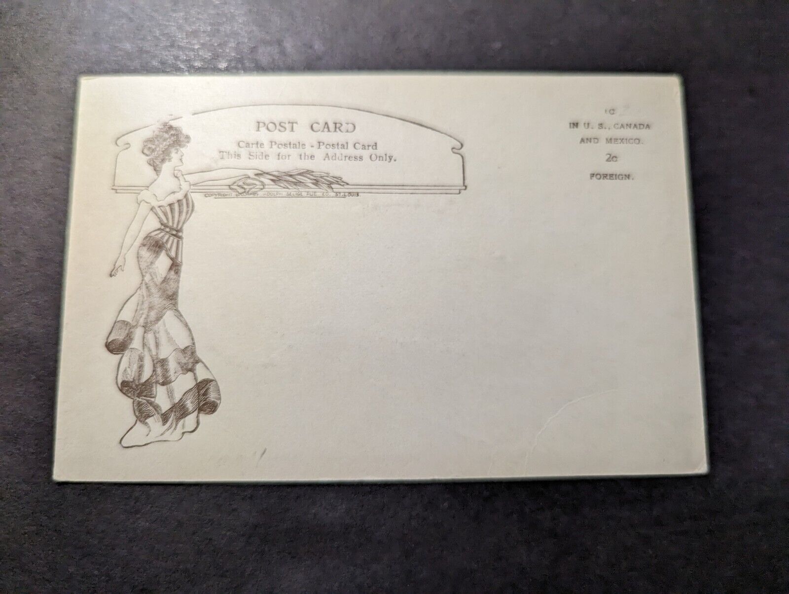 Mint USA Indigenous Native American Indian Postcard Chief Lone Wolf ...