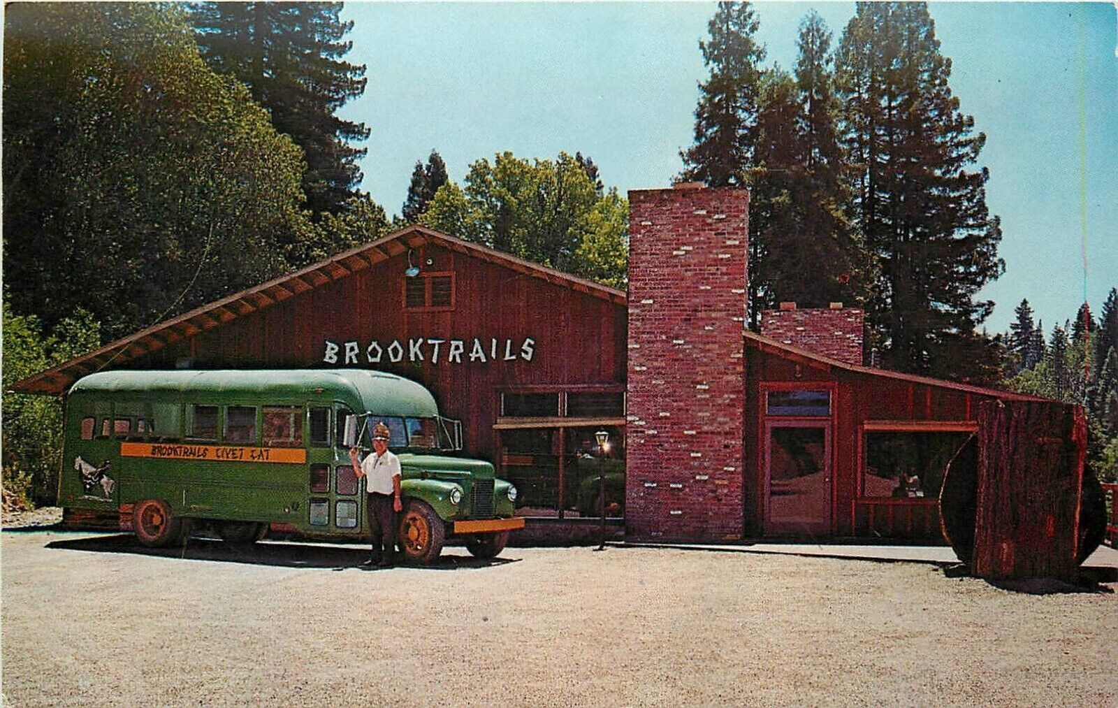 Postcard 1950s California Willits Brooktrails bus Redwood Empire CA24 ...