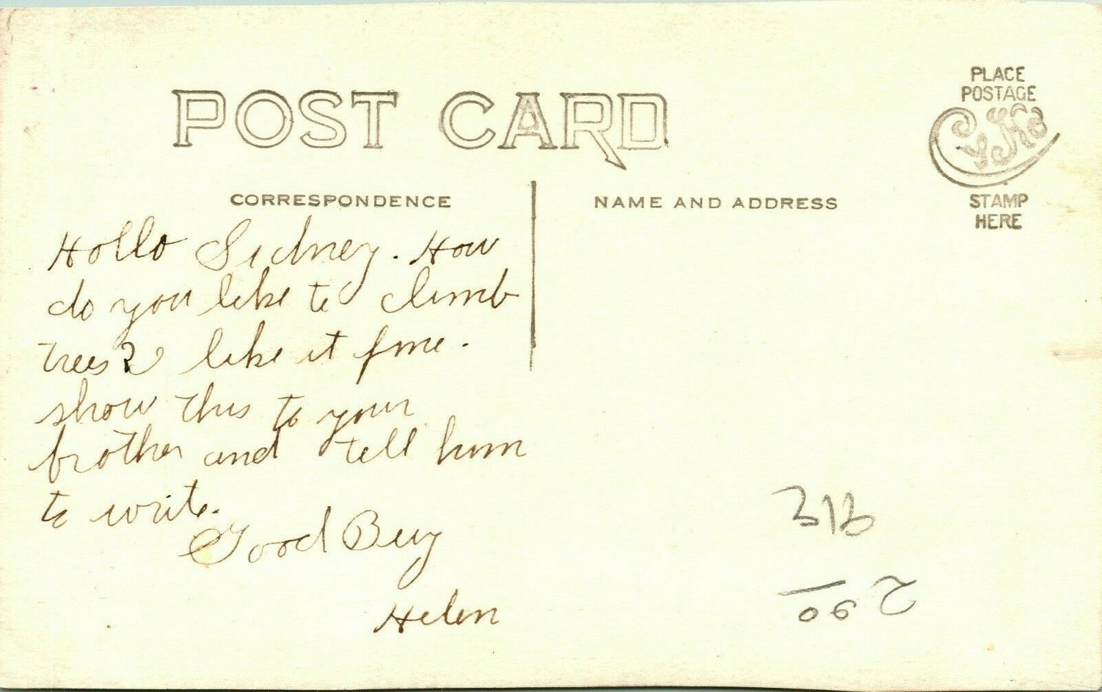 Vtg Carte Postale Cppr 1910s Cyko - Familiy Portrait Escalade Un Tree ...